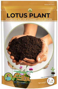 Dharshini Farm Product Lotus Plant Specialized Soil for Stunning Lotus ...