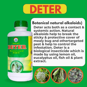 Universal Biocon Mealy Bug killer spray, Powerful Liquid for removing ...