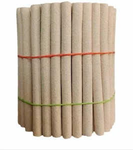 Somapa Fertilizer Sticks Plant Food Fertilizer for Brown Plants (Pack ...