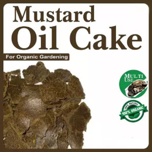 creative king MUSTARD KHALI POWDER -1 KG Manure Price in India - Buy ...