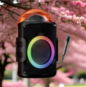 Buy GUGGU yk-57 Champ Speaker Compact High Power Wireless Bluetooth ...