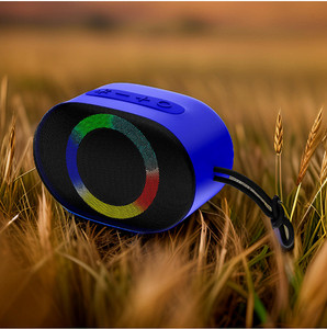 Buy GUGGU Boss Portable Bluetooth Speaker: 16W Home Theatre Sound, 6 ...