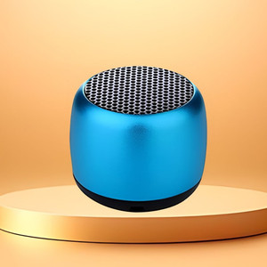 Buy GUGGU Bluetooth Speaker Coin Speaker & Mini Wireless Pocket Size 5W ...