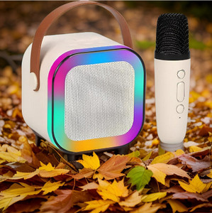 Buy ROAR WI-52 K12 Bluetooth Party Speaker with Wireless mic 16 W ...