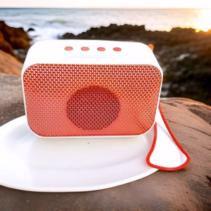 Buy TWS Rechargeable Music Player with Clear Sound & Booming Bass 5 W ...