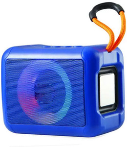 Buy Techpunch Best Wireless 6H Playtime Built-in LED Torch FM 10 W ...