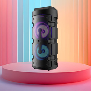 Buy Clairbell DJ Box Speaker with FM Radio, Mic & USB Pen Drive 20W ...