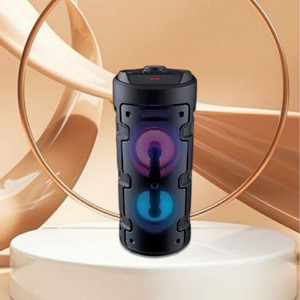 Buy FRONY DJ Box Speaker with FM Radio, Mic & USB Pen Drive 20W ...