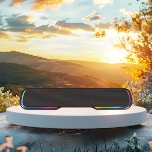 Buy GUGGU DJ Box 25W Speaker 2400mAh battery & RGB Light sound box ...