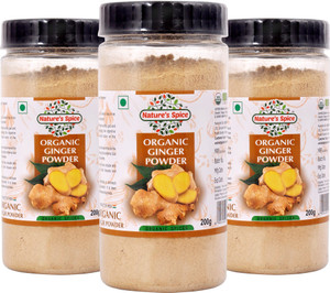 Nature's Spice Organic Ginger Powder - 600 Grams Price in India - Buy ...