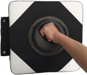 Lyla Boxing Karate Pad Punch Wall Pad for Muay Thai Training Black and ...