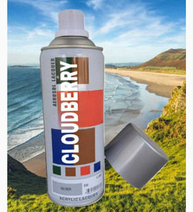 Cloudberry Cube Gloss Finish Silver Spray Paint 400 ml Price in India ...