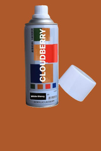 Cloudberry Cube Gloss Finish White Spray Paint 400 ml Price in India ...