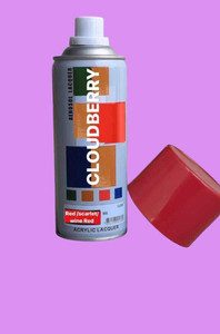 Cloudberry Cube Gloss Finish Red Spray Paint 400 ml Price in India ...