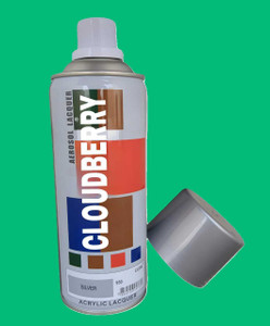 Cloudberry Cube Gloss Finish Silver Spray Paint 400 ml Price in India ...