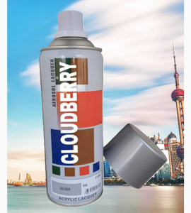 Cloudberry Cube Gloss Finish Silver Spray Paint 400 ml Price in India ...