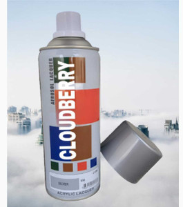 Cloudberry Cube Gloss Finish Silver Spray Paint 400 ml Price in India ...