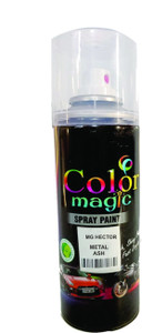 COLORMAGIC METAL ASH SPRAY PAINT ( RC COLOUR NAME ) COMPATIBLE FOR ...
