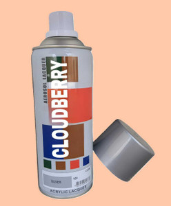 Cloudberry Cube Gloss Finish Silver Spray Paint 400 ml Price in India ...