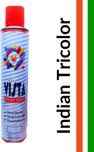 ACI VISTA Indian Tricolor Spray Paint (Saffron, White, Green ...