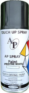 AP PAINTS Aerosol Touch up Spray for Tata Car(for- Punch, Nexon, Tiago ...