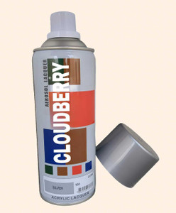Cloudberry Cube Gloss Finish Silver Spray Paint 400 ml Price in India ...