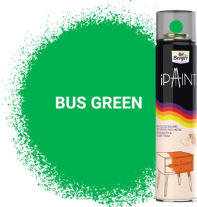Berger Green Spray Paint 400 ml Price in India - Buy Berger Green Spray ...