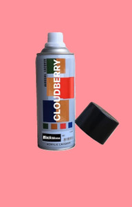 Cloudberry Gloss Finish Black Spray Paint 400 ml Price in India - Buy ...