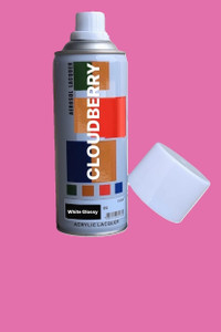 Cloudberry Gloss Finish White Spray Paint 400 ml Price in India - Buy ...