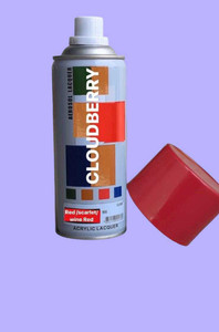 Cloudberry Cube Gloss Finish Red Spray Paint 400 ml Price in India ...