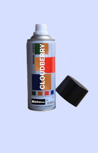 Cloudberry Gloss Finish Black Spray Paint 400 ml Price in India - Buy ...