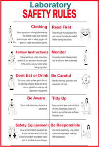 Emo 48.24 cm Laboratory safety rules Guidelines wall poster vinyl ...