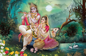 Online Collection 30.48 cm Shri Radha Krishna Wall Sticker lord shri ...