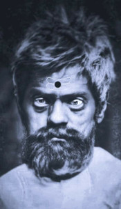 swaroopa 16.5 inch Shankar maharaj Swami samarth A3 size non tearable ...