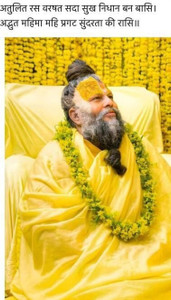 swaroopa 16.5 inch Premanand ji maharaj A3 size non tearable sticker ...