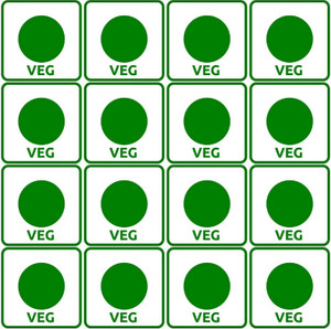 BlackDreams 2.5 cm Veg 1 inch Square Paper Labels with Logo for Food ...