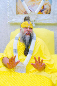 swaroopa 16.5 inch Premanand ji maharaj A3 size non tearable sticker ...