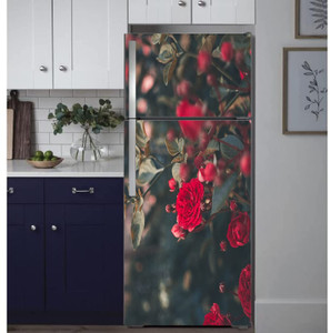 DreamKraft 160 cm Fridge Wallpaper/Poster Double Single Door(PVC, 60 cm ...