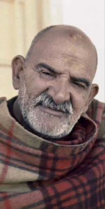 Khetal 16.5 inch Neem karoli baba A3 size non tearable sticker Self ...