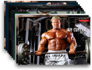 PRINTHUBS Bodybuilders Motivational Poster For Gym Room Wall Decor ...
