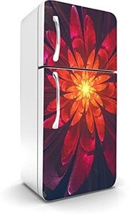 DreamKraft 160 cm Fridge Wallpaper/Poster Double Single Door(PVC, 60 cm ...