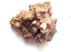 VINARGHYA Supari Phul / Phool Supari Lal / Gond Sohjana / Moringa Gum ...