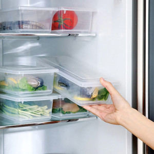 Mataiva Plastic Fridge Container - 1500 ml Price in India - Buy Mataiva ...
