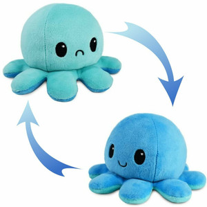 Amazm Two-Faced Octopus Teddy - 15 cm - Two-Faced Octopus Teddy . Buy ...