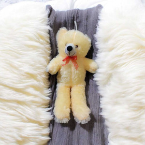 Vihaan Enterprises CREAM COLOUR TEDDY - 60 cm - CREAM COLOUR TEDDY ...