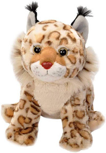 WILD REPUBLIC Bobcat Plush Animal Stuffed Soft Toy - 12 inch - Bobcat ...