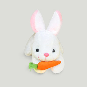 KIdbea Rabbit with Carrot Stuffed Plush Animal Soft Toy for Kids - 24 ...