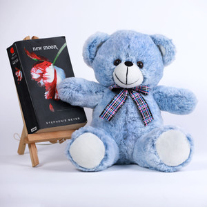 Lil'ted Soft Cute Buzzy Bear Teddy Bear - 30 cm - Soft Cute Buzzy Bear ...