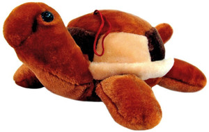 Tickles Toto Tortoise Stuffed Soft Plush Toy for Kids - 22 cm - Toto ...