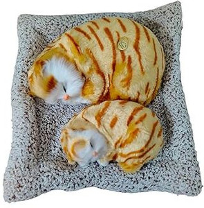 Bogenlite Cat Toy - 12 inch - Cat Toy . Buy Cat Sleeping Toy toys in ...